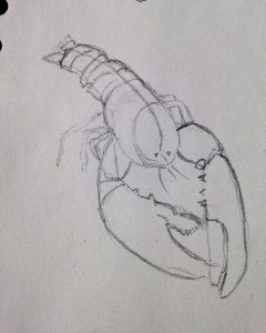 Dessiner des crustacés rapidement : astuces pour un résultat en 10 ...